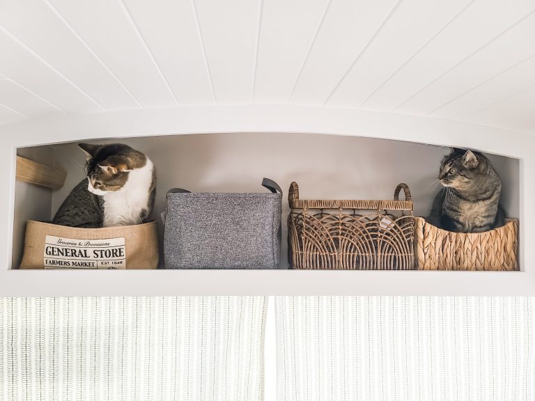 6 simple steps to keep your skoolie organized - Tidy Mo